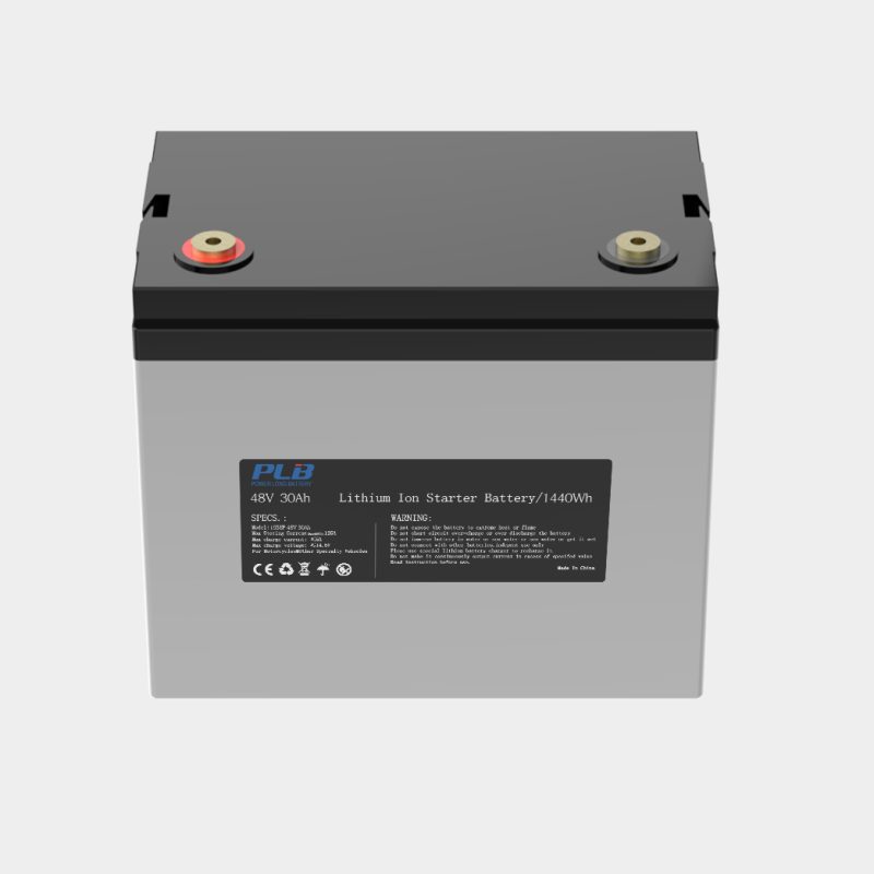 48V 26AH LiFePO4 AGV Battery Pack-Custom Lithium ion Battery Pack ...