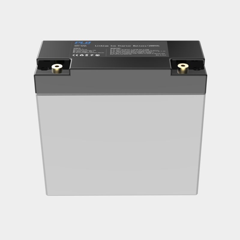 48V 6Ah Output Power 2KVA LiFePO4 UPS Battery-Custom Lithium ion ...