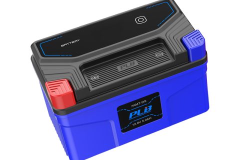 Battery cells and packs battery.-PLB battery